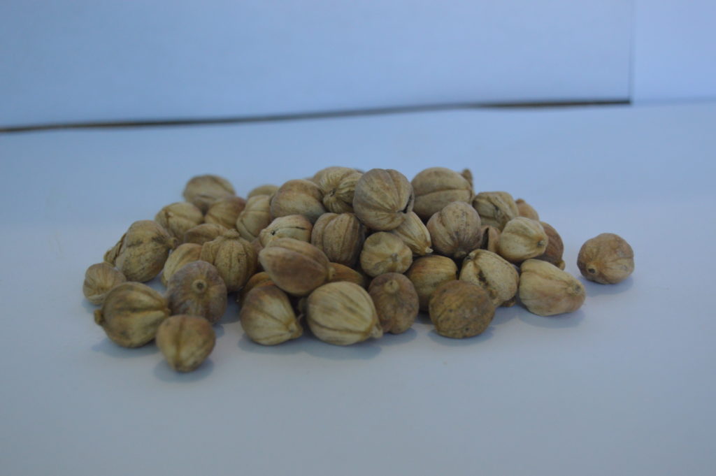 Indonesian cardamond – CV. Rasdi & Co